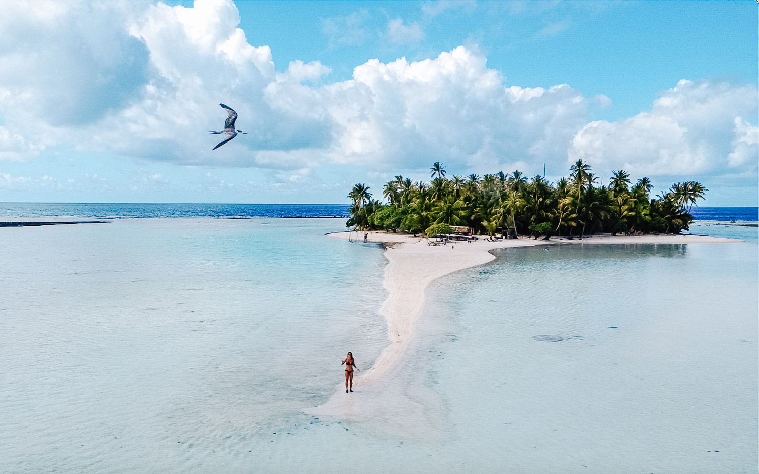 Rangiroa in Französisch-Polynesien: Delfin-Insel & Tauchparadies